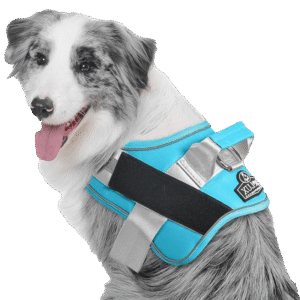 Bolux Dog Harness – Comfort, Safety, and Control for Every Walk