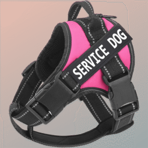 Bolux Dog Harness – Comfort, Safety, and Control for Every Walk